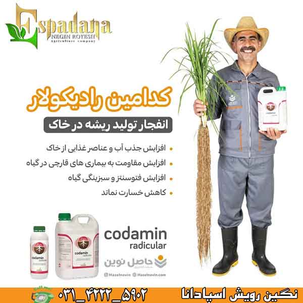 کدامین رادیکولار اسپانیا (5 لیتری) - نگین رویش اسپادانا